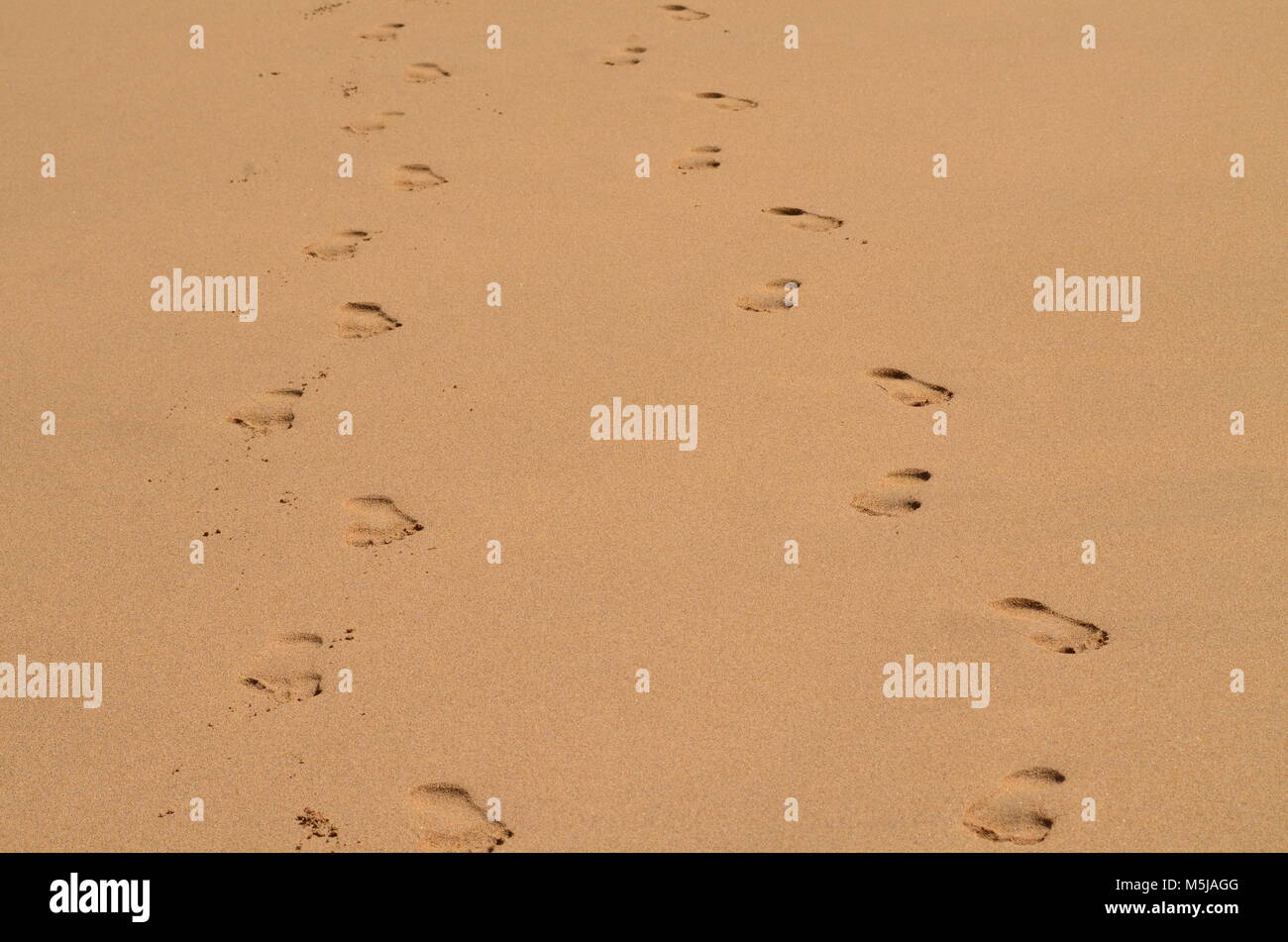 Footprints in the sand two sets hi-res stock photography and images - Alamy