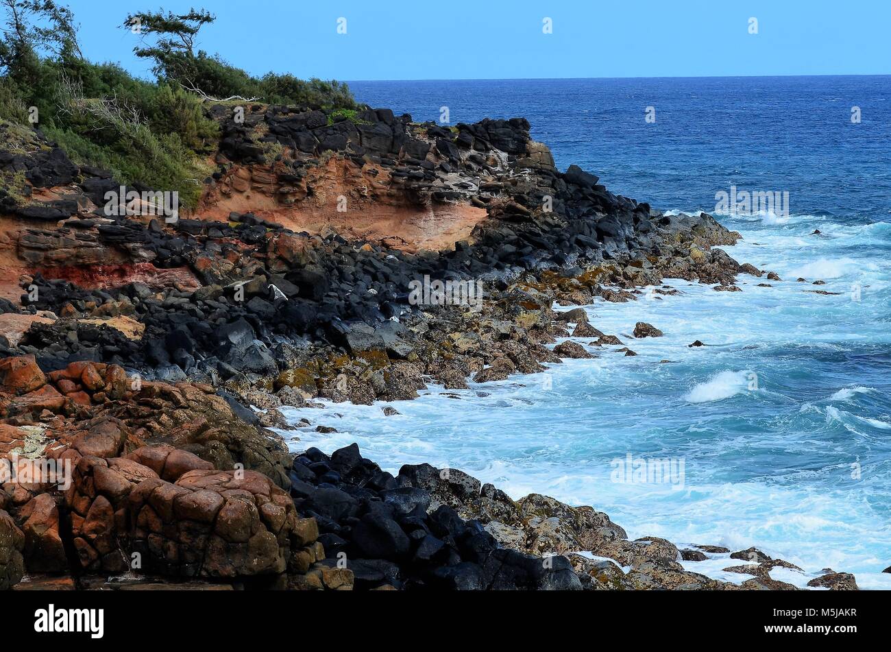 Hawaiian native plants hi-res stock photography and images - Alamy