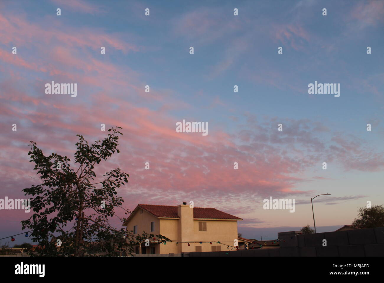 Tree skyview High Resolution Stock Photography and Images - Alamy