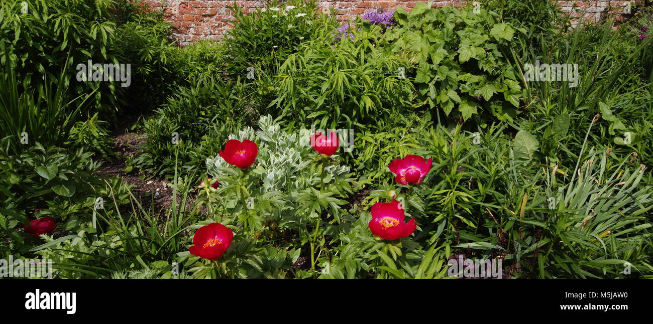 spetchley park gardens worcester worcestershire midlands, england, uk ...