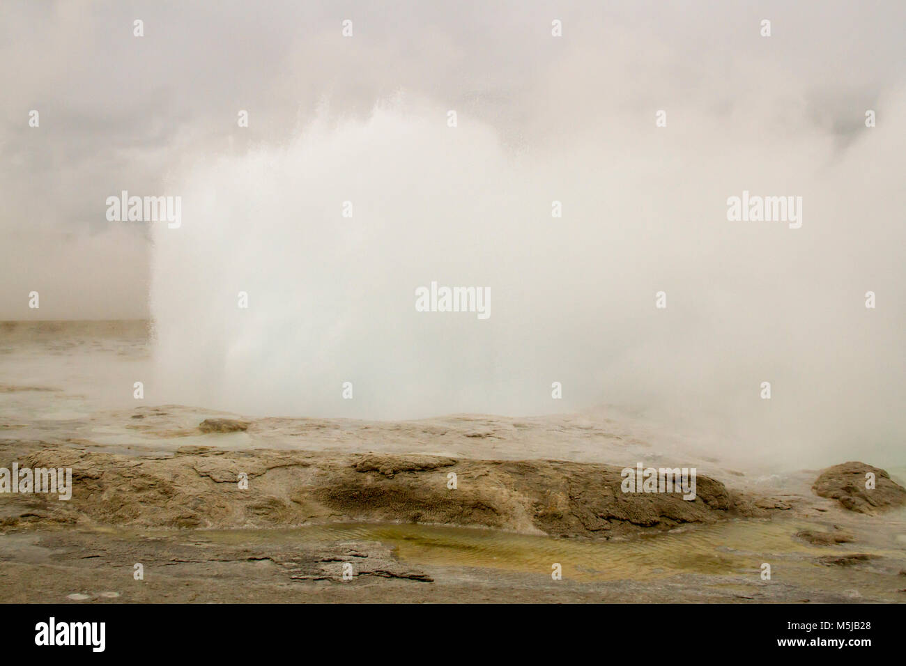 Steam and water erupting from Fountain Geyser vent at Fountain Paint ...