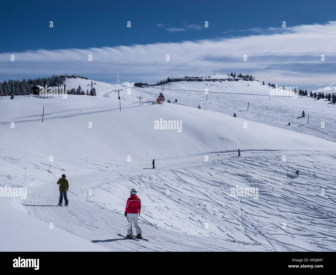 Start of the Timberline Catwalk trail, winter, Vail Ski Resort, Vail ...