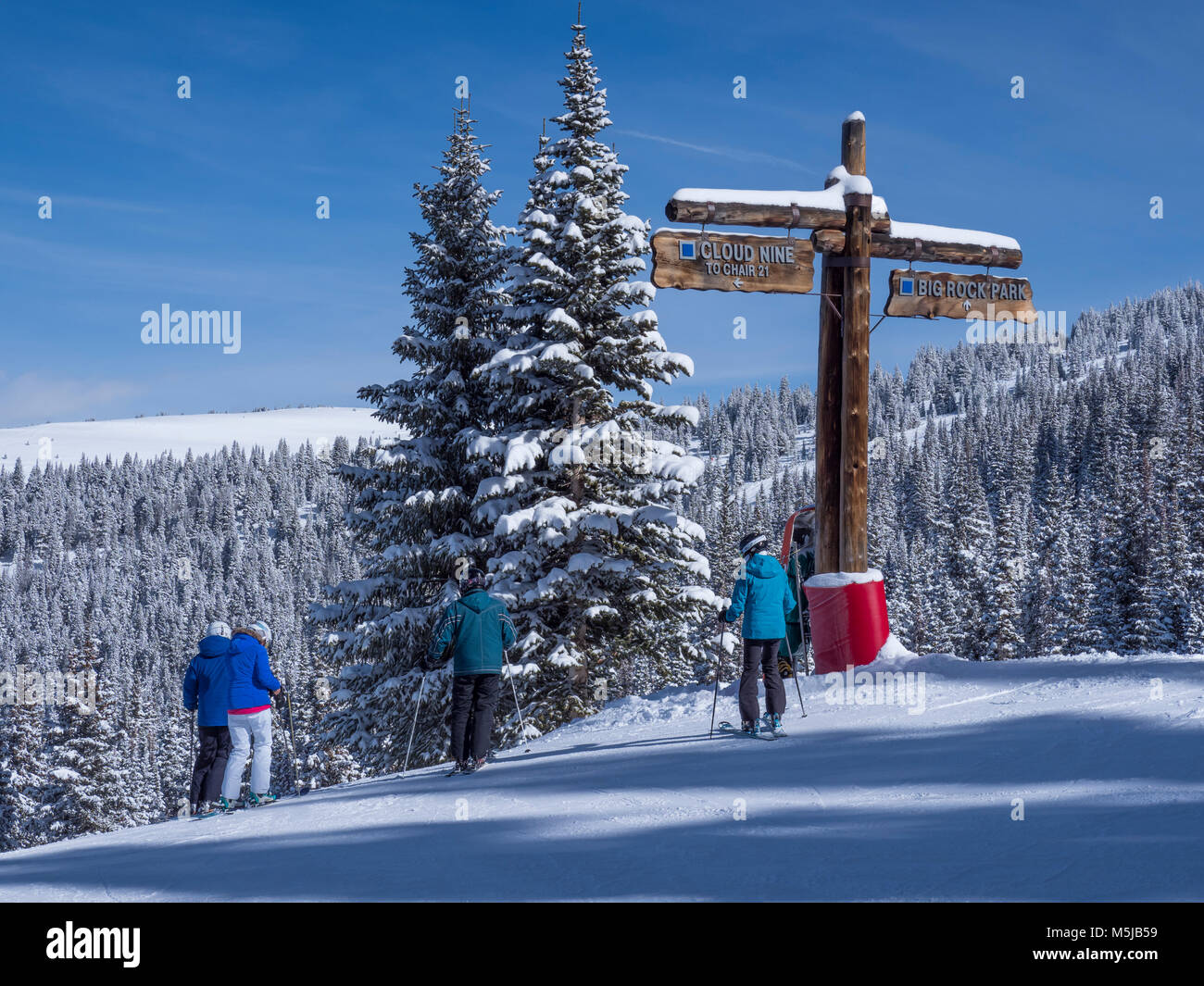 Top of the Cloud Nine and Big Rock Park ski trails, winter, Blue Sky ...