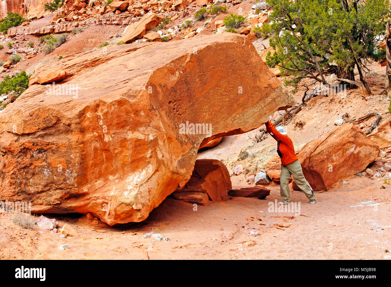 Reef explorer hi-res stock photography and images - Alamy