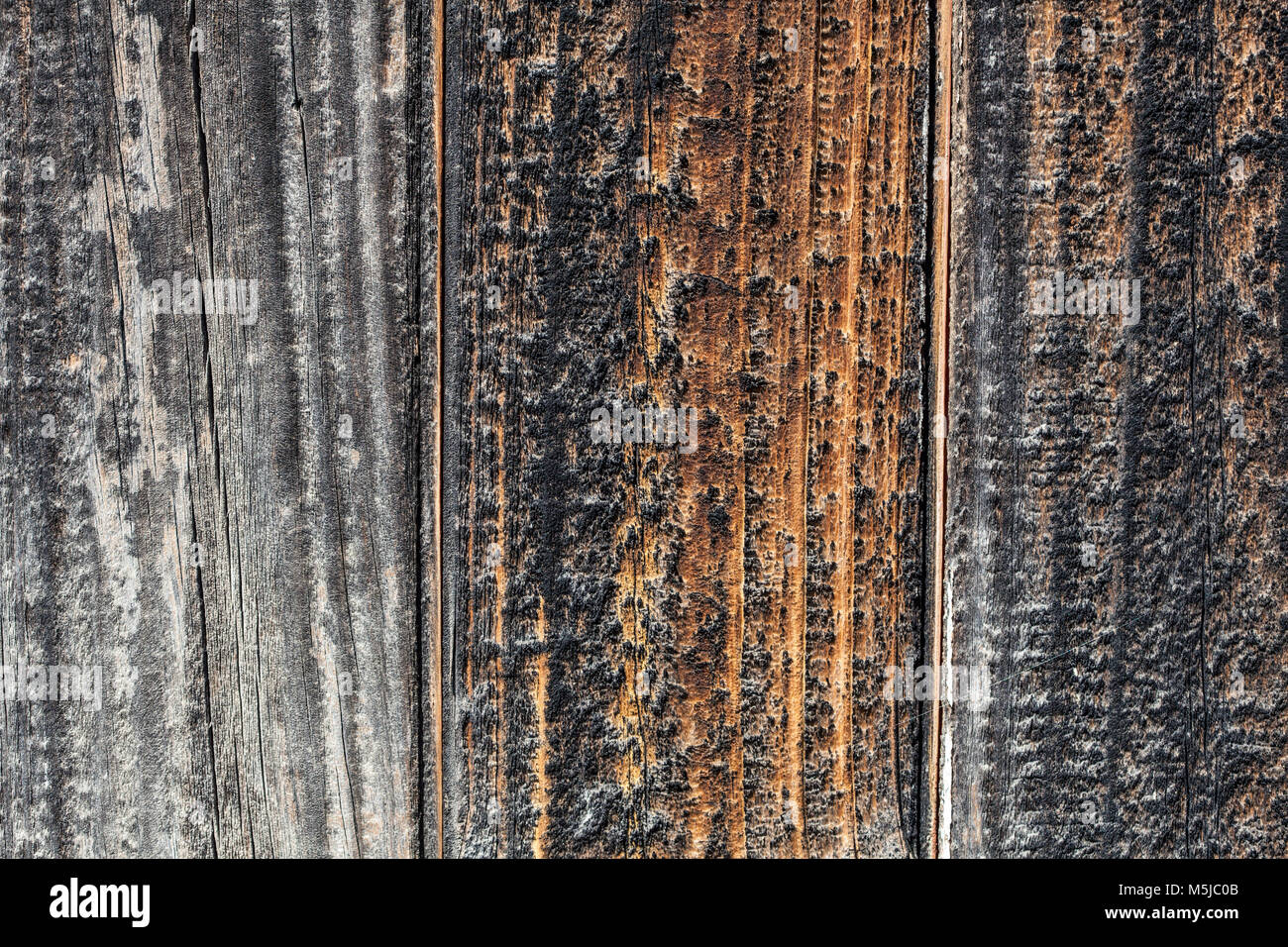 Old wooden planks fence background texture closeup Stock Photo - Alamy