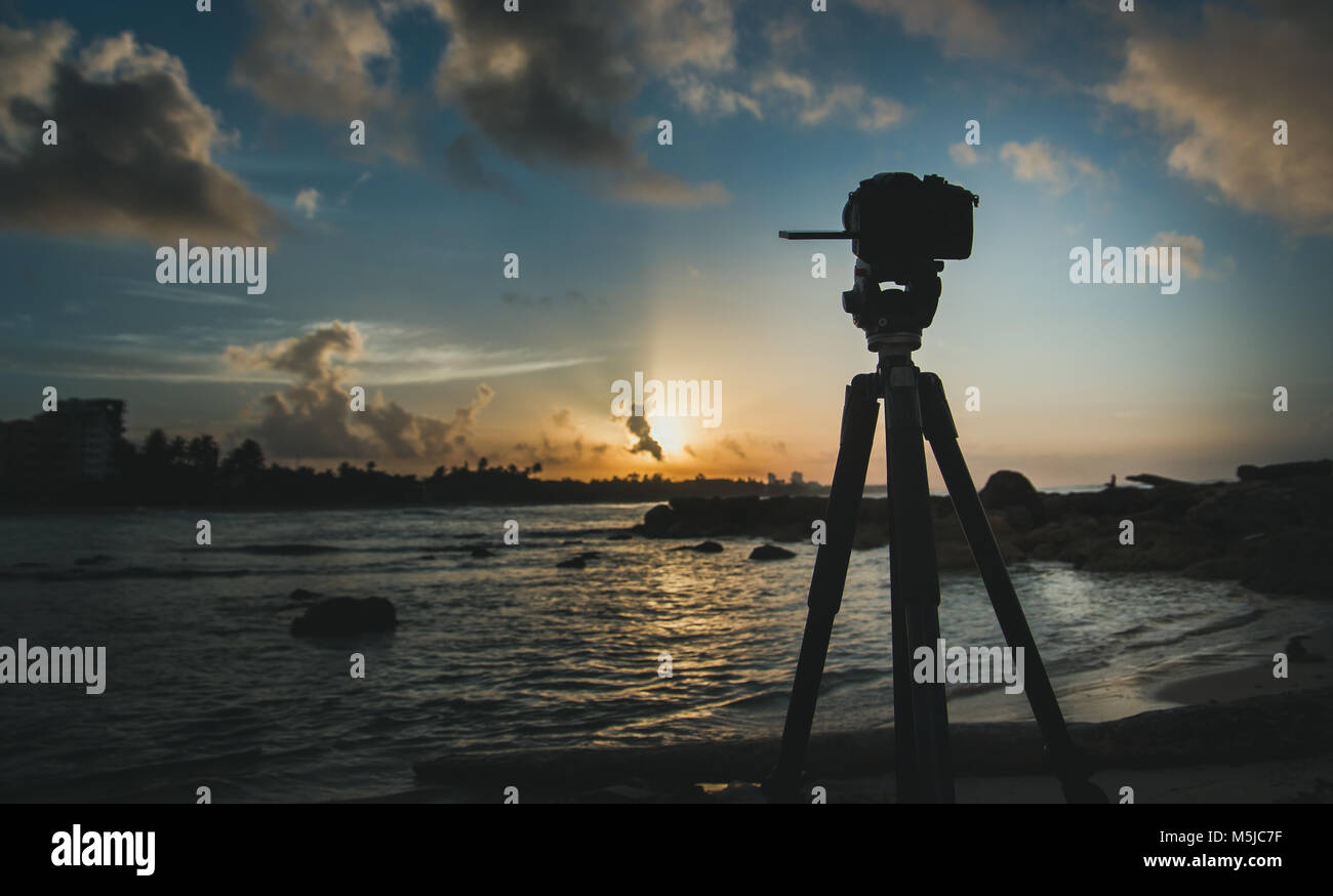 Liveview hi-res stock photography and images - Alamy