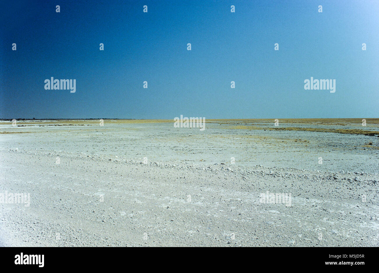 White desert landscape, salt flats in Etosha Pan, Namibia, Africa Stock ...