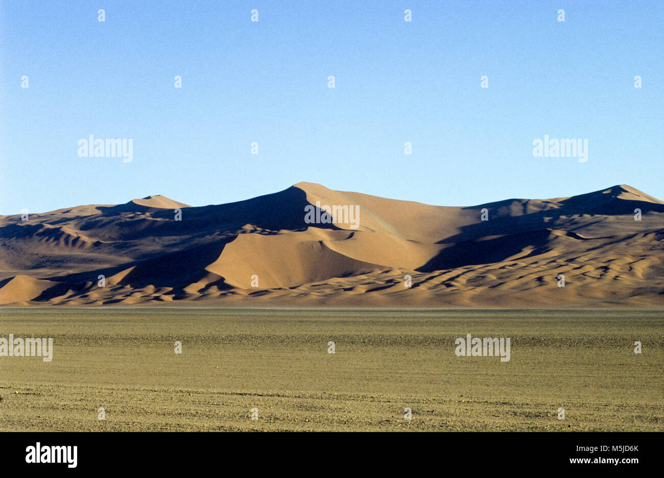Panoramic view of red sand dunes in famous Namib Desert in Namibia ...