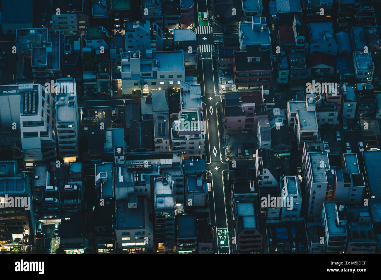 Tokyo from above hi-res stock photography and images - Alamy