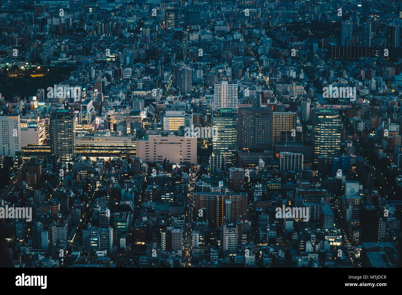 Tokyo city skyline at night as seen from above. Aerial photography of ...