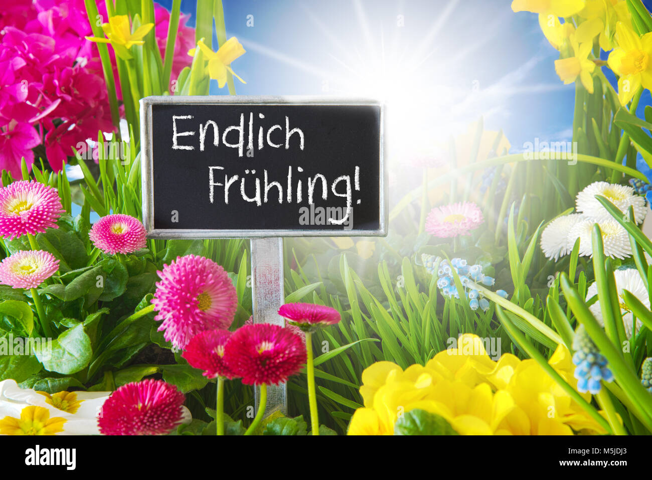Sign With German Text Endlich Fruehling Means Hello Spring. Sunny ...