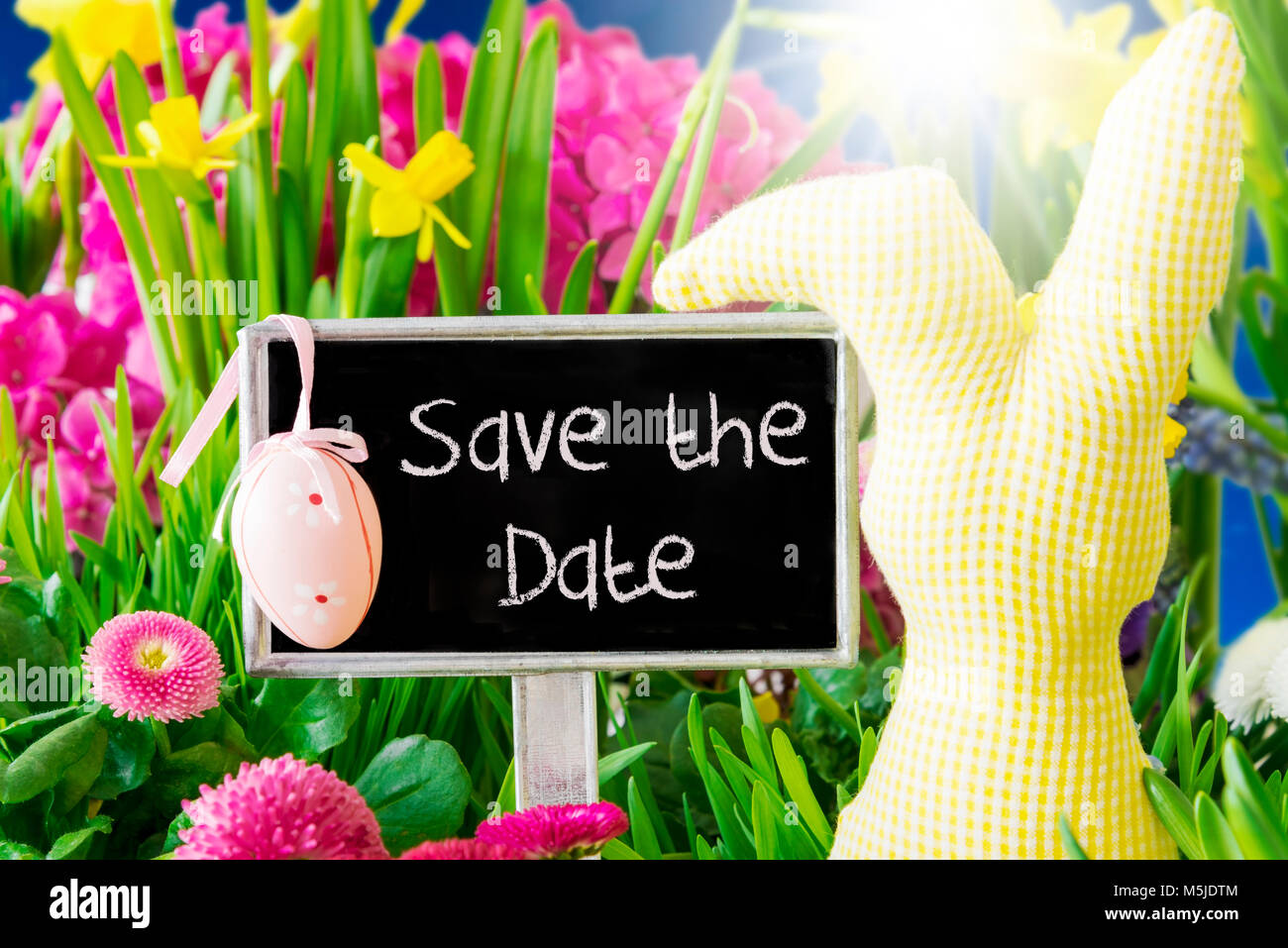 Sign With English Text Save The Date. Sunny Spring Flowers Like Daisy ...