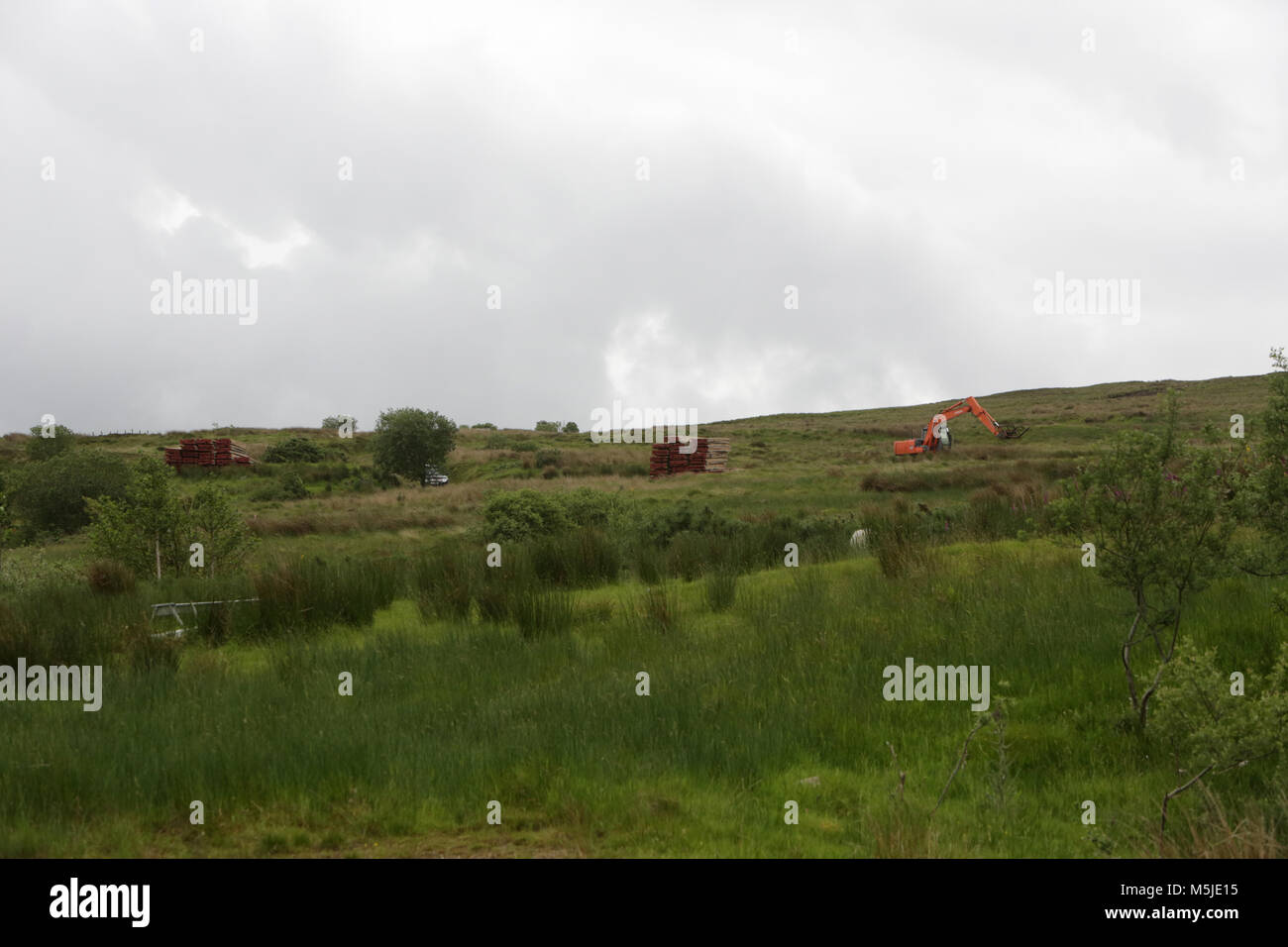 Dalradian Gold High Resolution Stock Photography and Images - Alamy