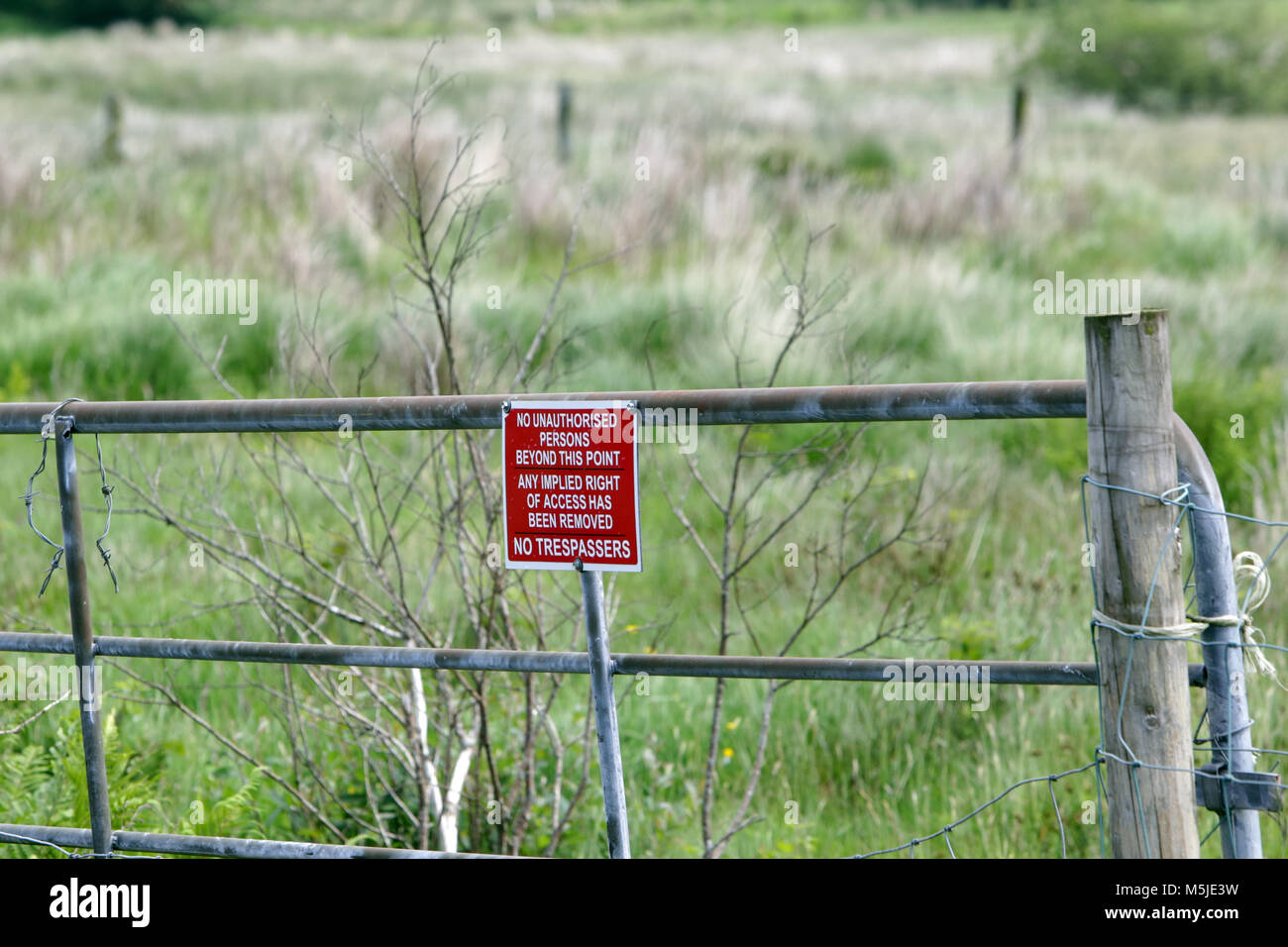 GOLD MINING IN THE SPERRINS, NORTHERN IRELAND - 15-JUNE-2017 Stock ...