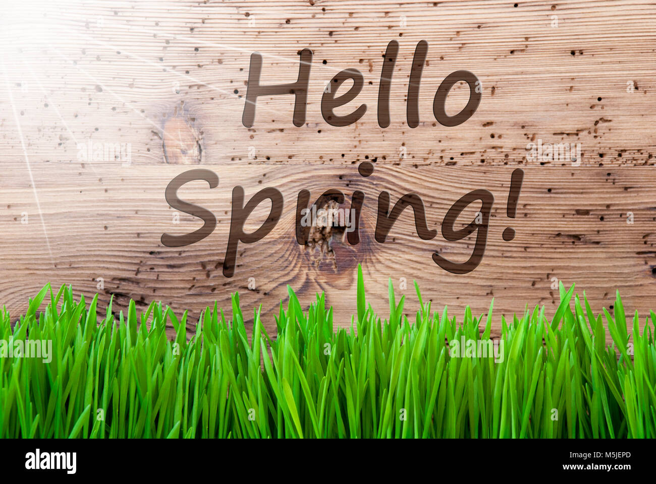 English Text Hello Spring. Season Greeting Card. Bright, Sunny And Aged ...