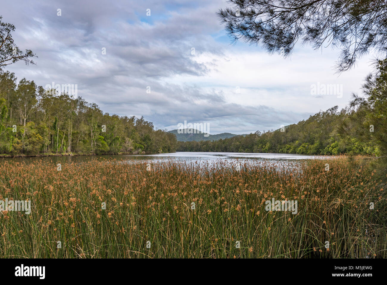 Warrell Creek that joins the Nambucca River on the north coast of NSW ...