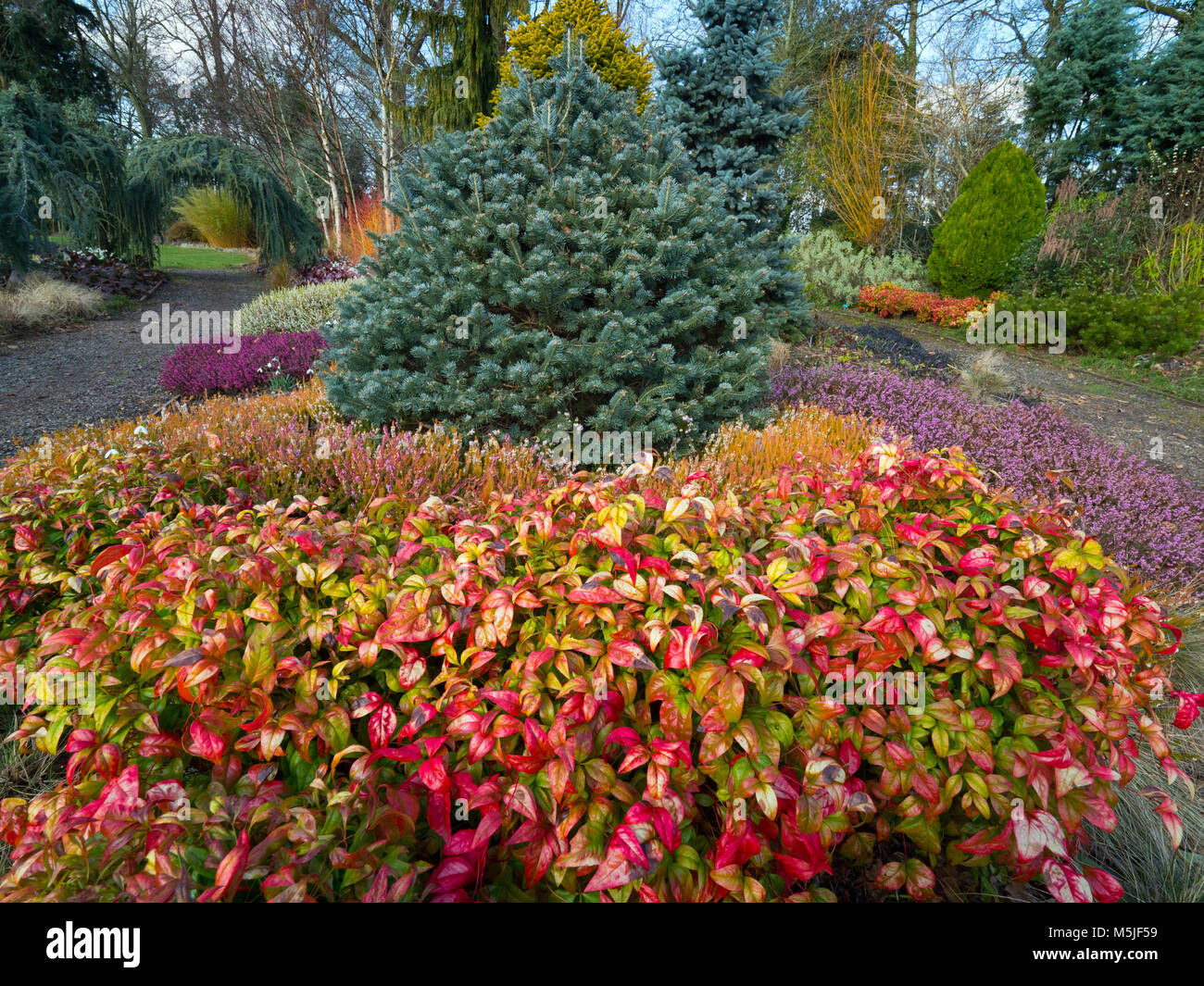 Winter at Bressingham gardens Norfolk Stock Photo - Alamy