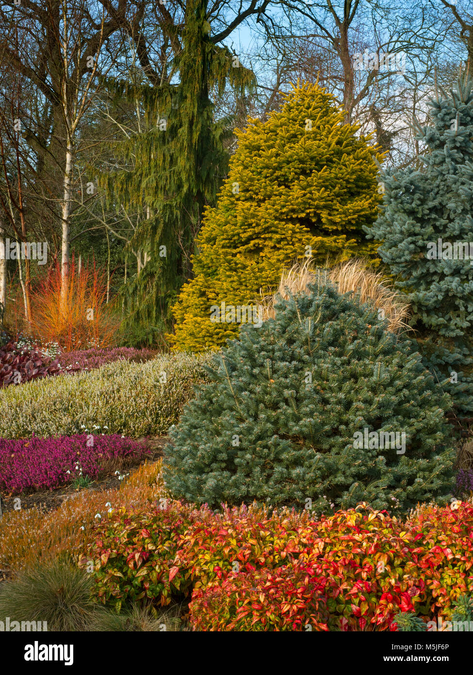 Winter at Bressingham gardens Norfolk Stock Photo - Alamy