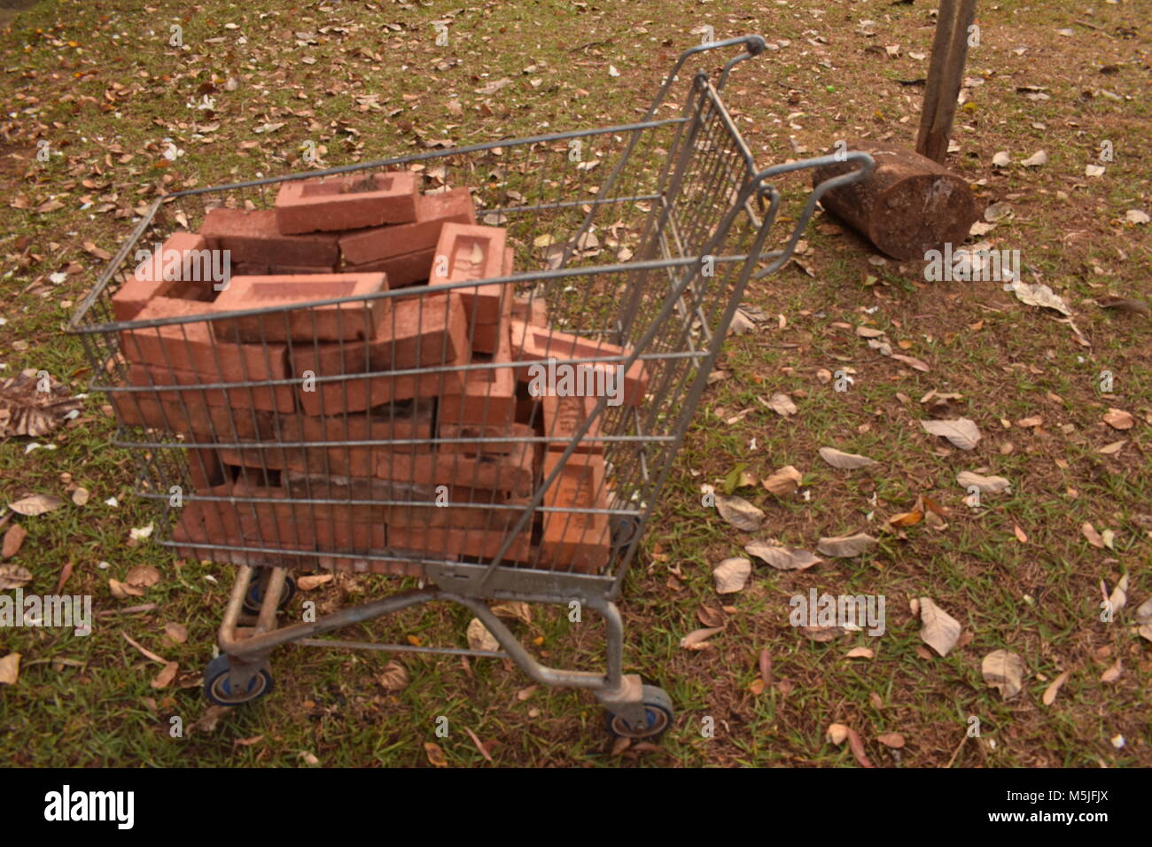 Shopping cart full of ceramic bricks Stock Photo - Alamy