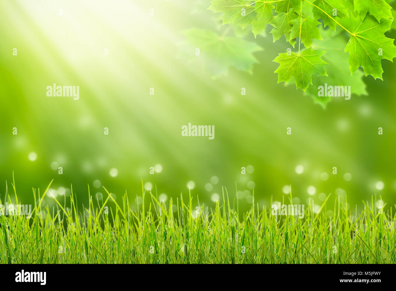 Glade Festival Stock Photos & Glade Festival Stock Images - Alamy