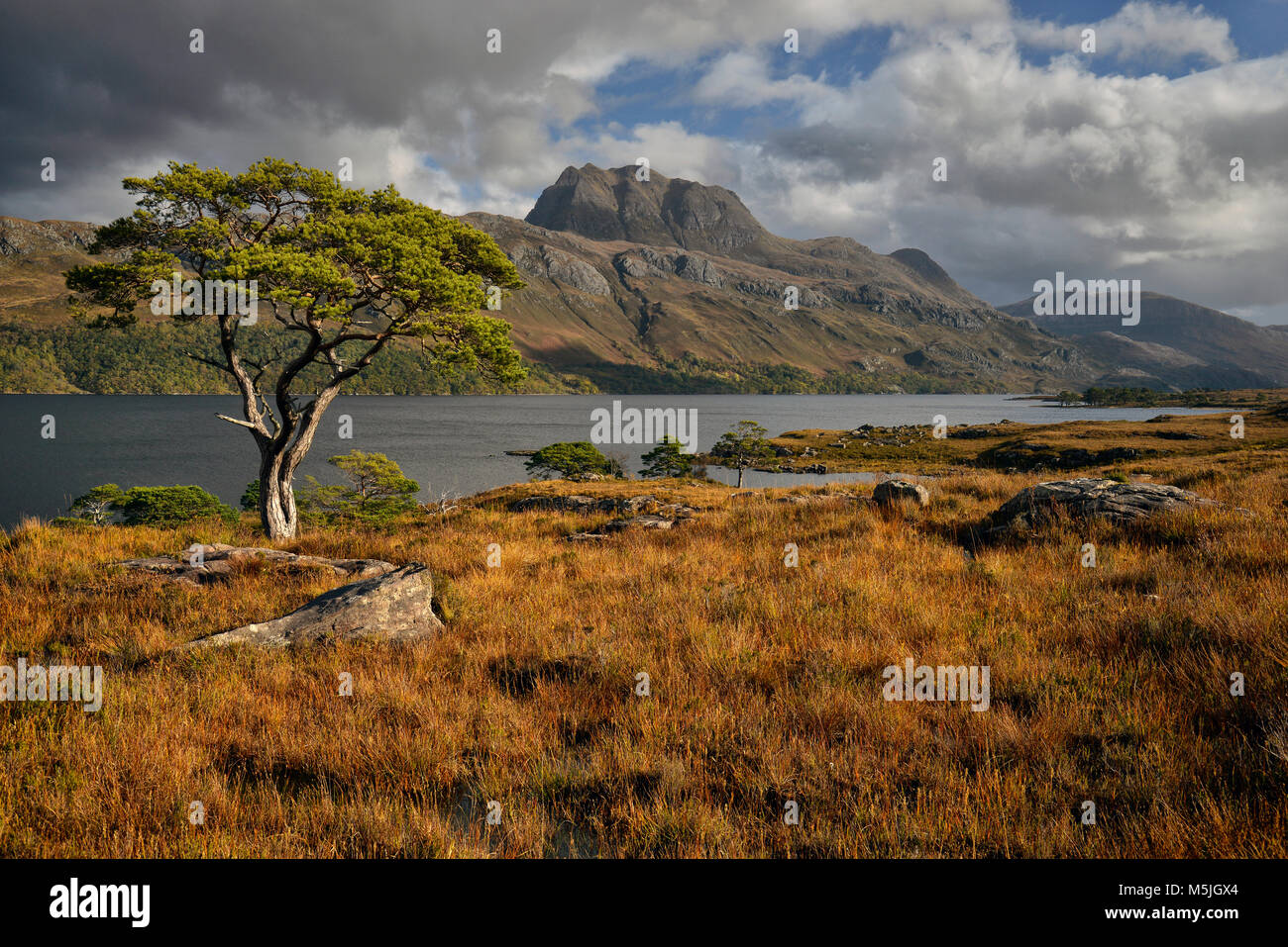 Slioch from the shoreline of Loch Maree Stock Photo - Alamy