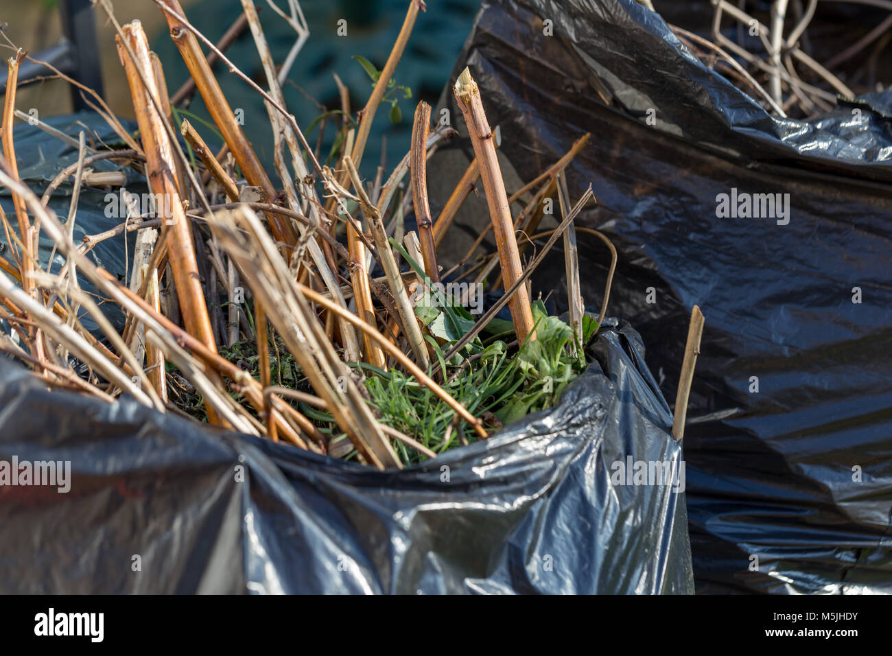 Garden Waste In Black Bags at Joan Ruhl blog