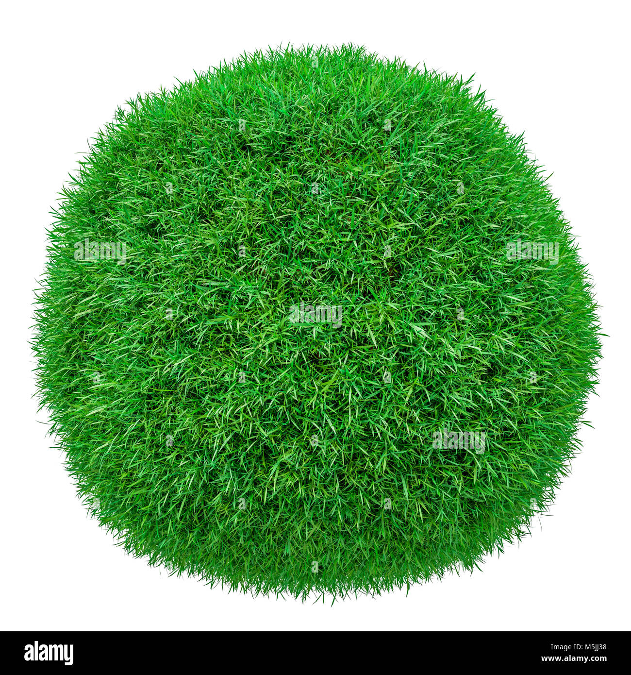 Green grass ball. Isolated on white Stock Photo - Alamy