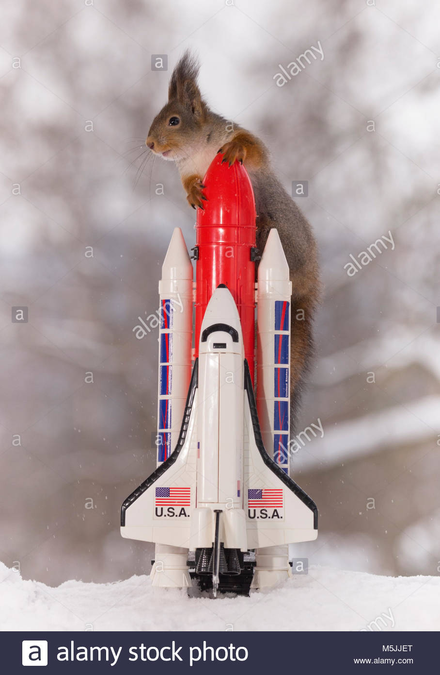 Flying Shuttle Stock Photos & Flying Shuttle Stock Images - Alamy