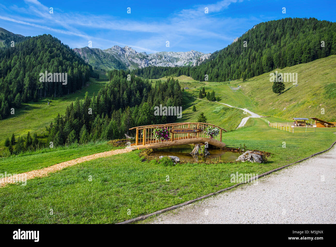 Small wooden bridge with a pond in a beautiful mountainous dolomites ...