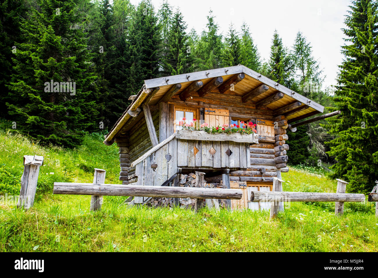 Isolated Mountain Cabin