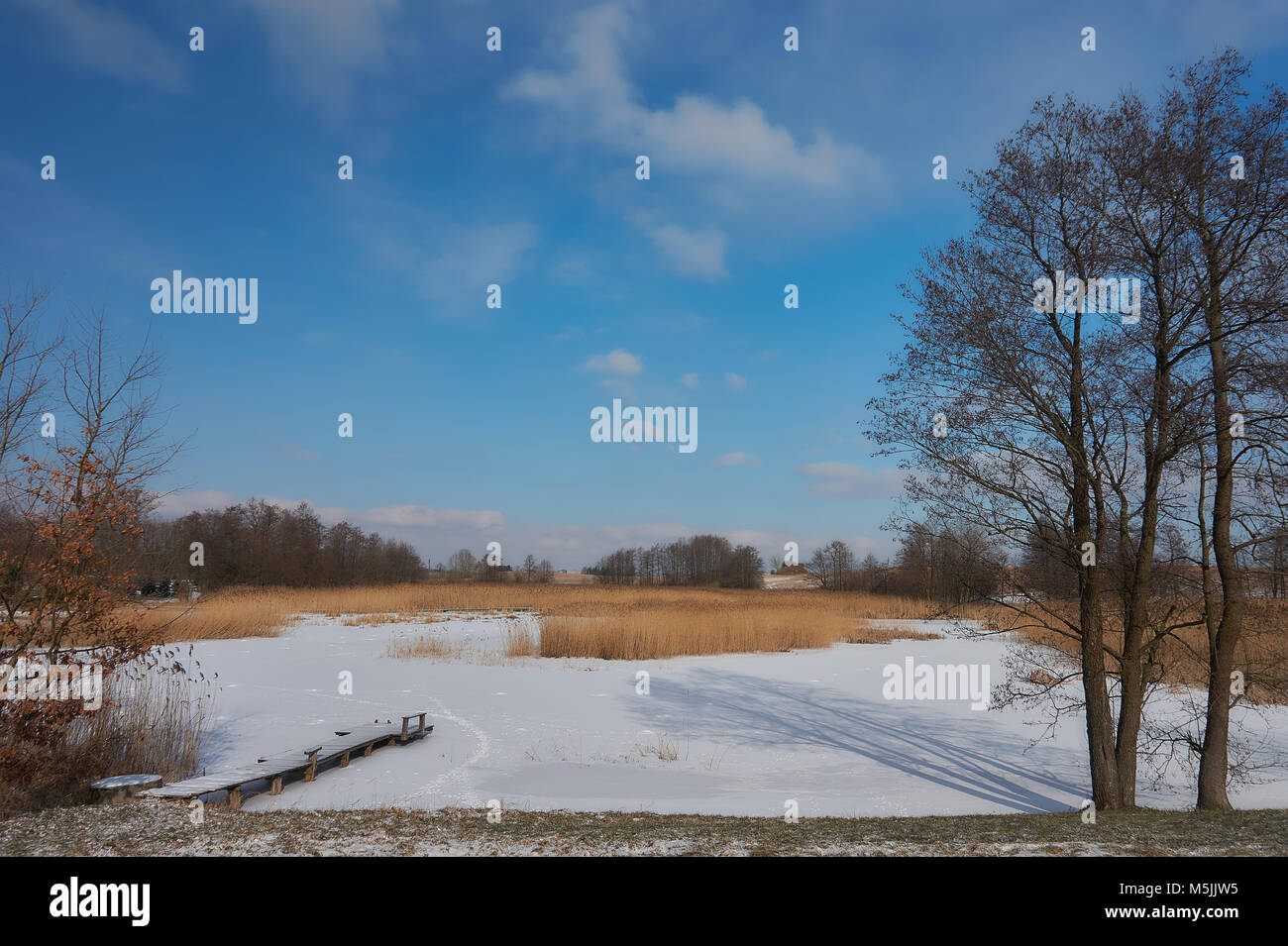 Frozen river bank, snow, trees, rushes, fallen fields and blue sky with ...