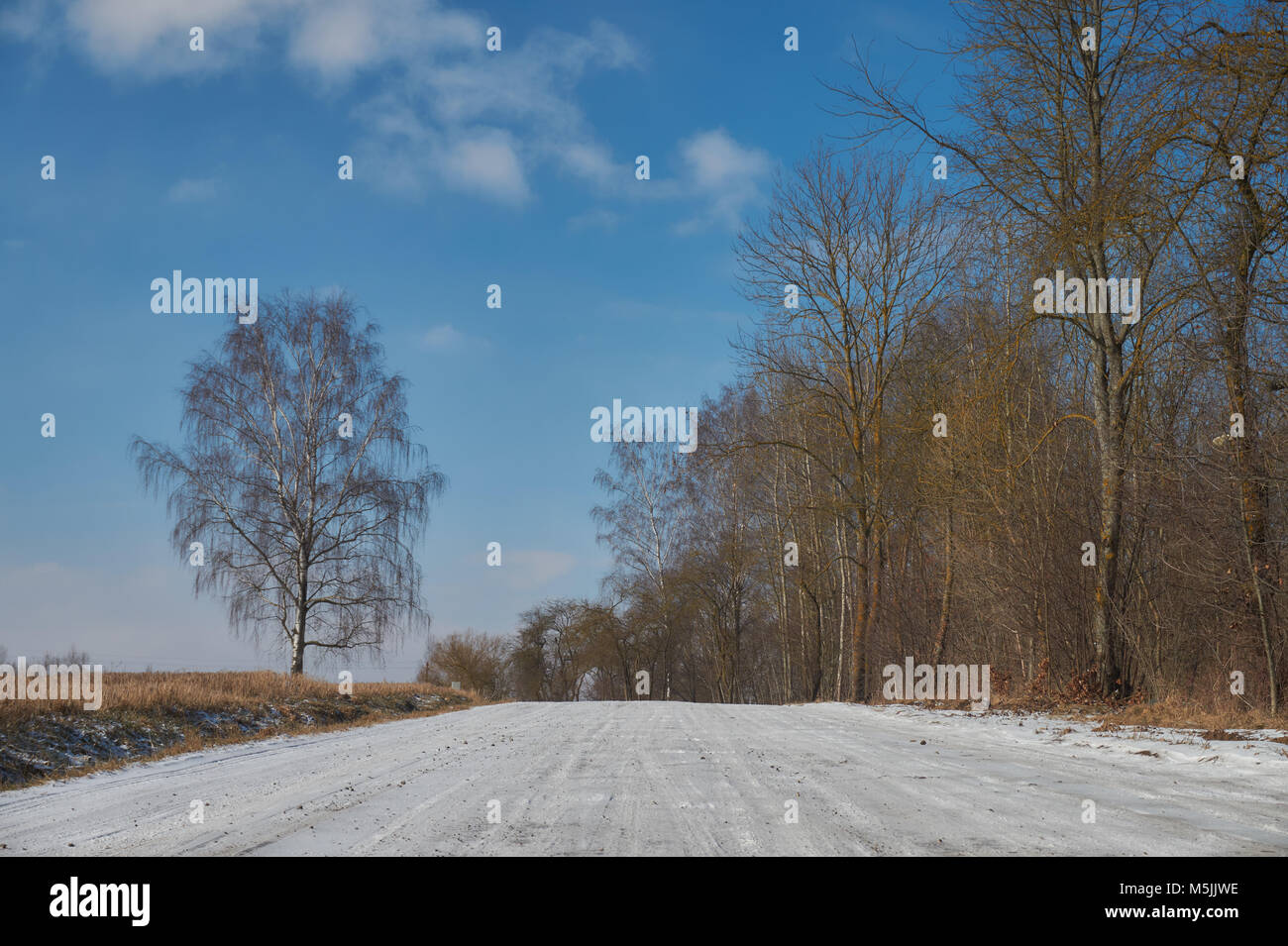 In rural snowy field hi-res stock photography and images - Alamy