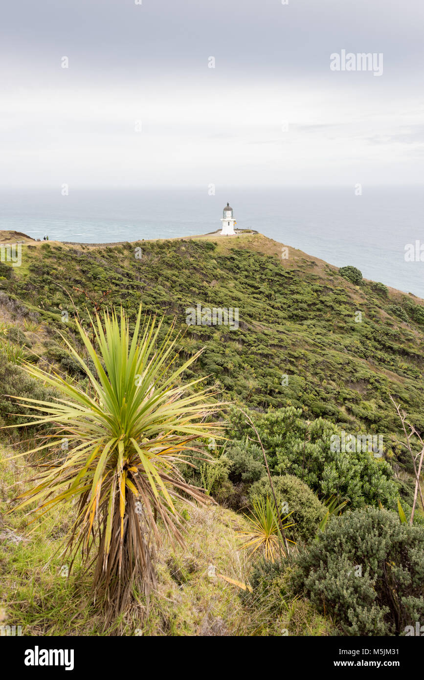 Cape Rienga Lighthouse, the Northernmost Tip of the North Island, New ...