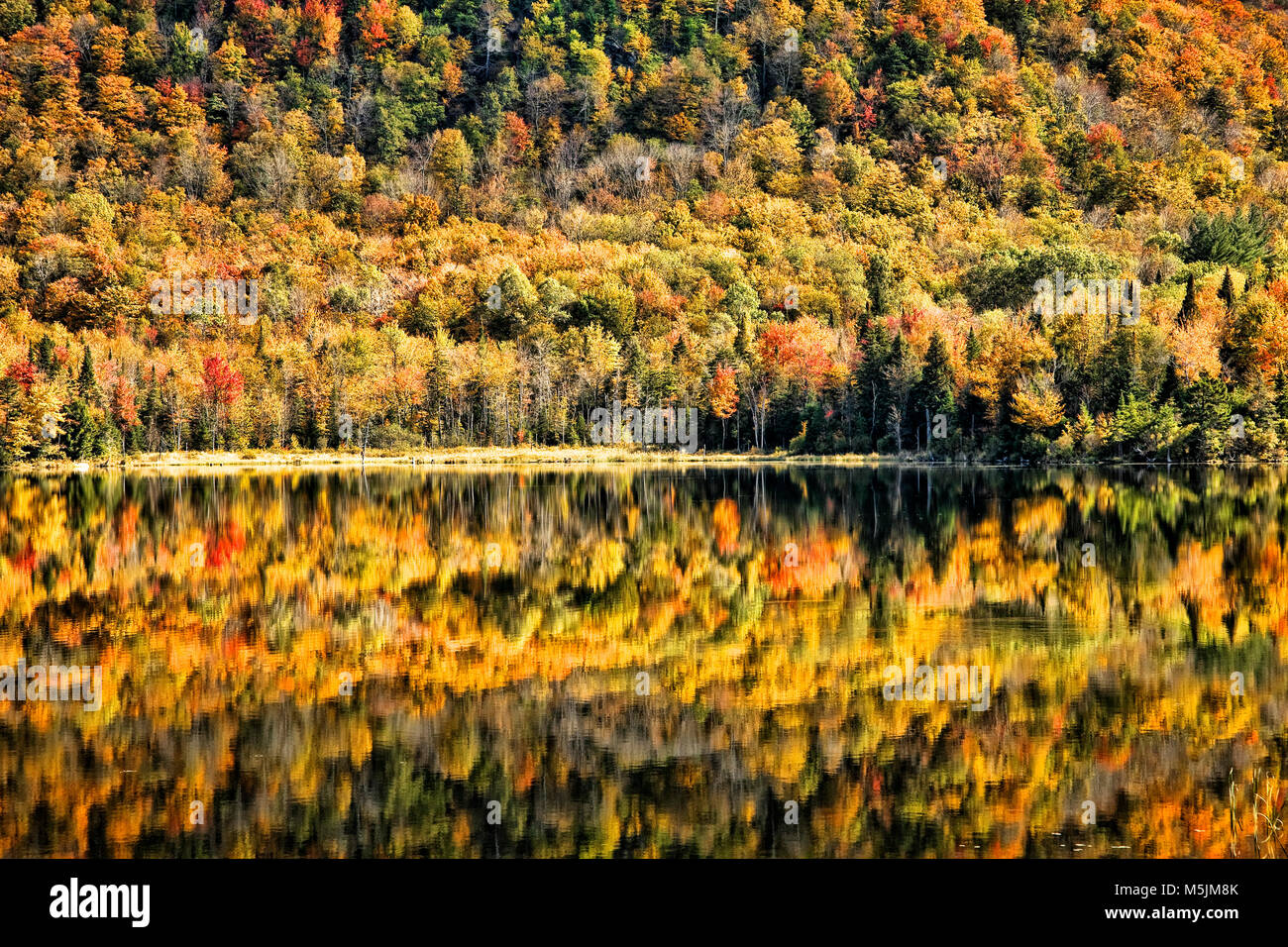 Water scott kemper hi-res stock photography and images - Alamy