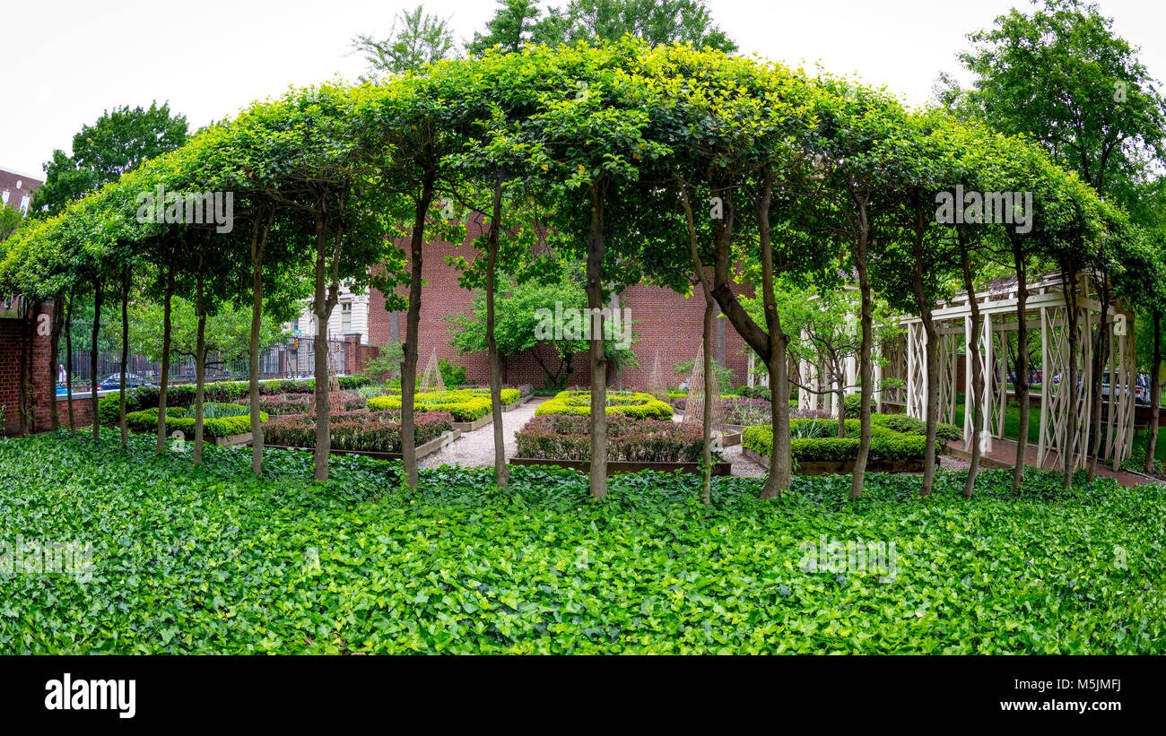 Pattern of trees along a walkway with brick buildings Stock Photo - Alamy