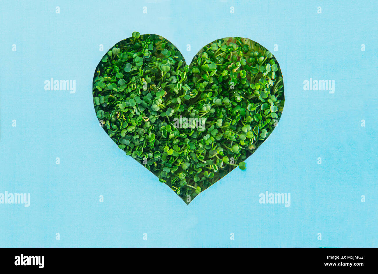 Creative concept with blue background with heart shape outline in green ...