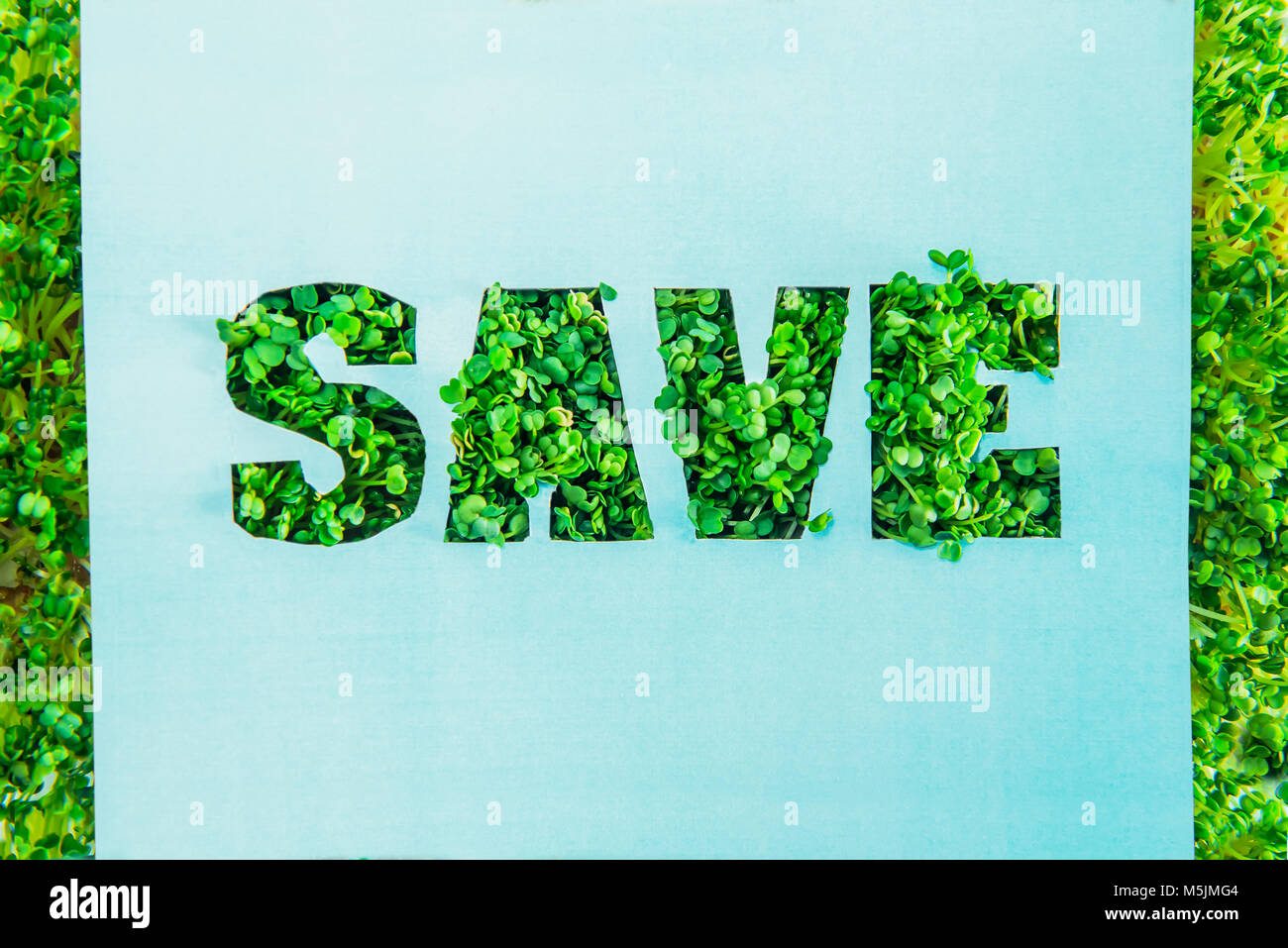 Creative concept with blue turquoise paper blank with outline lettering ...