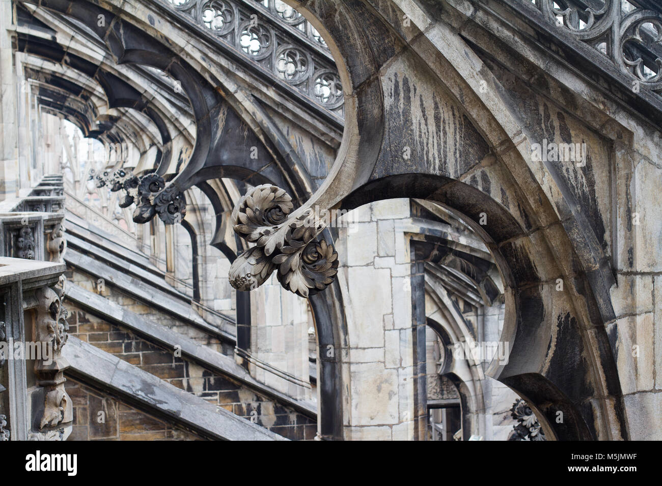 horizontal perspective view closeup of columns in gothic architecture ...
