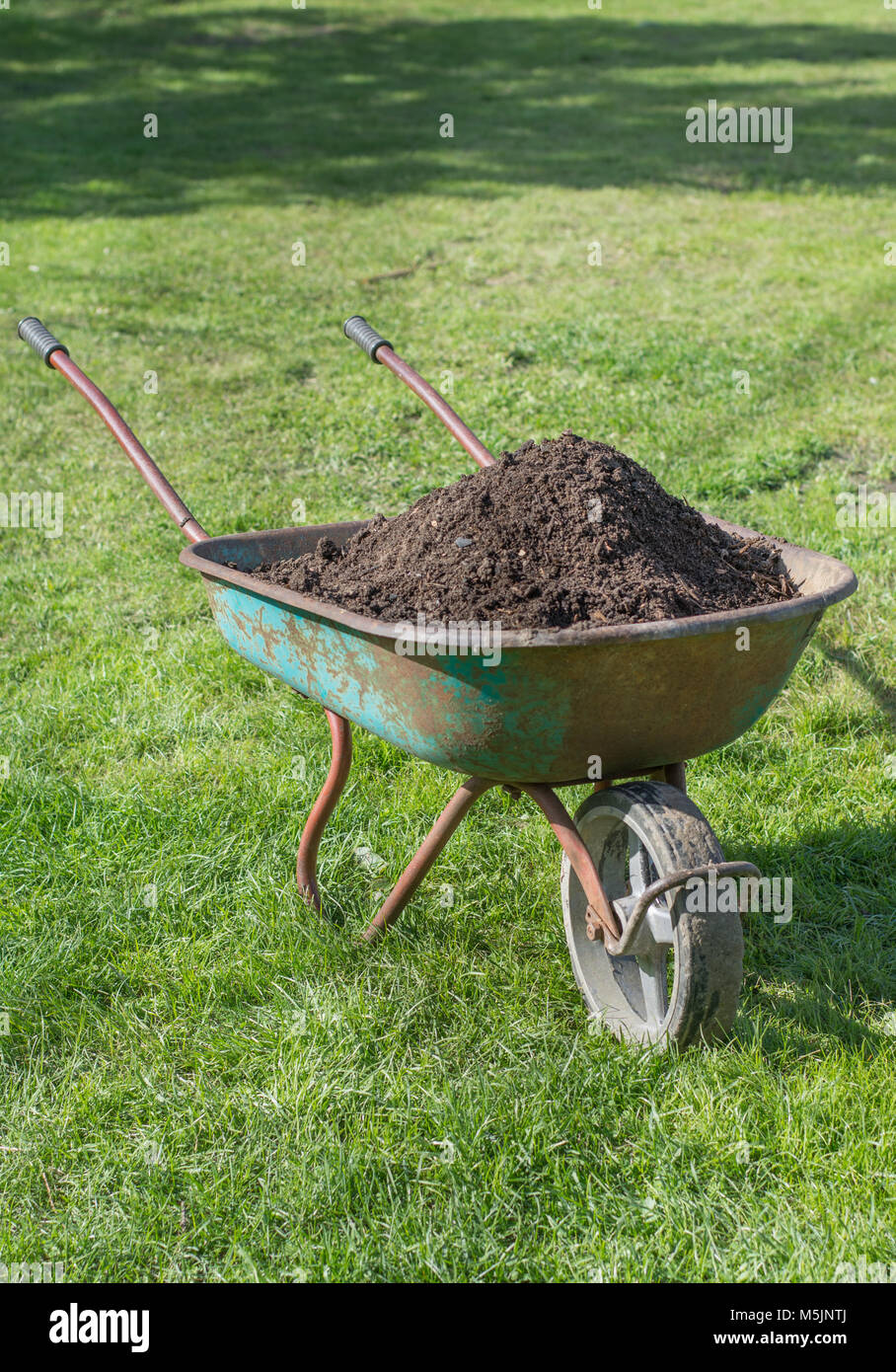 Wheelbarrow full of compost on green lawn Stock Photo - Alamy