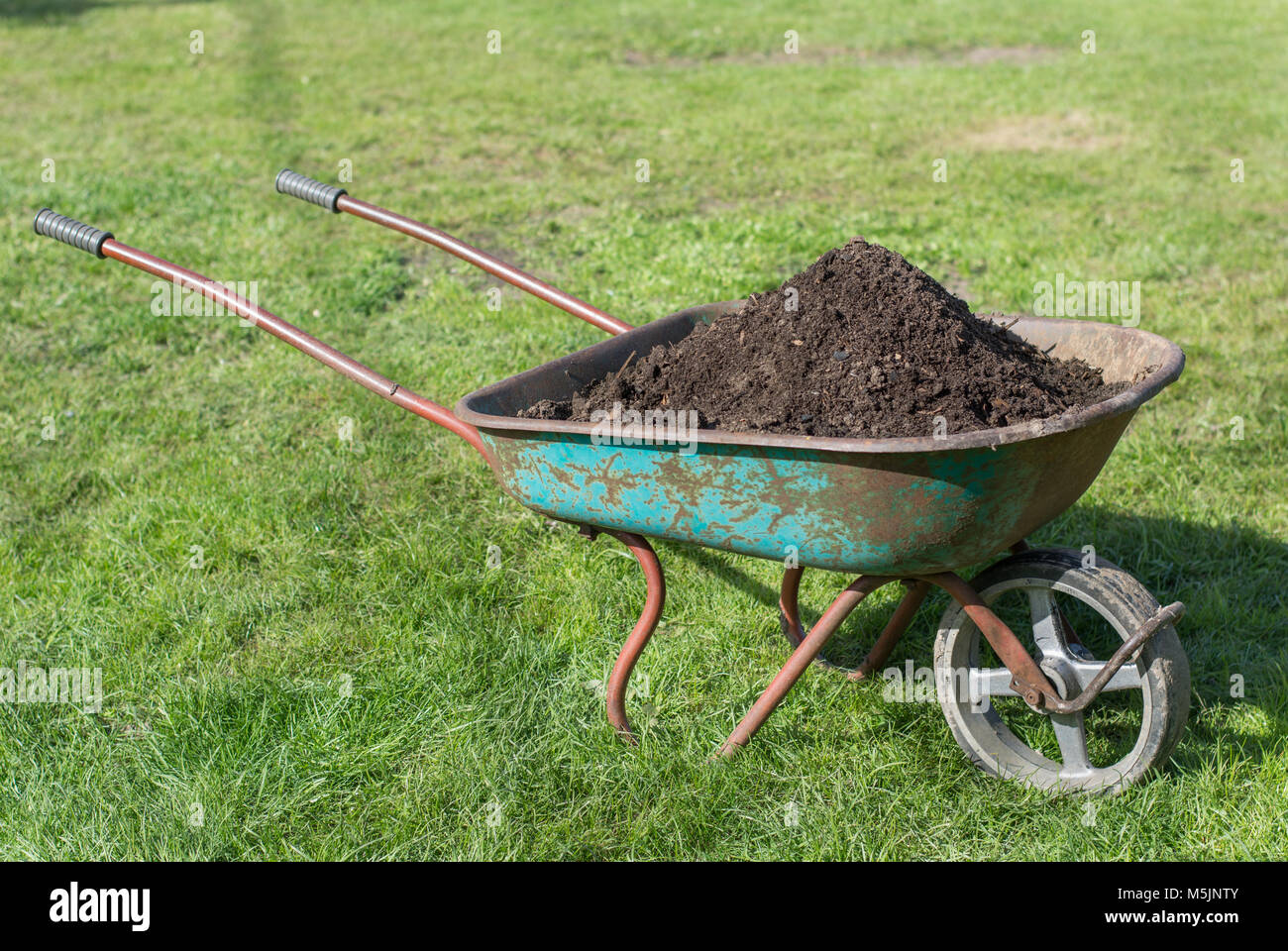 Wheelbarrow full of compost on green lawn Stock Photo - Alamy