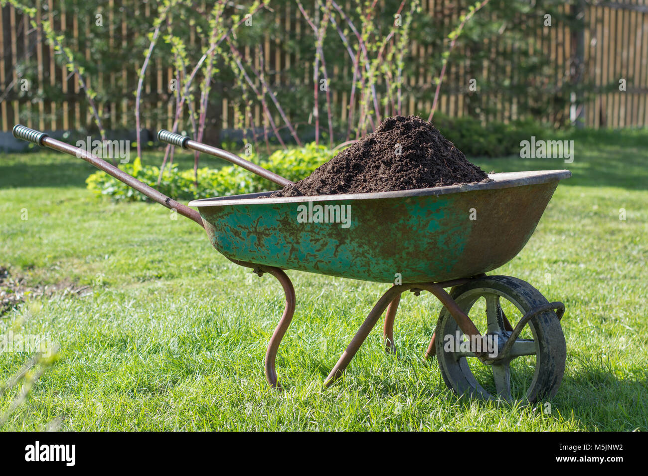 Wheelbarrow full of compost on green lawn Stock Photo - Alamy