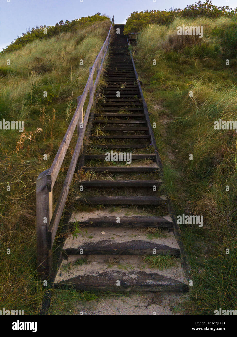 Wooden stair to the lookout on a sand dune,Henne Strand,Syddanmark ...