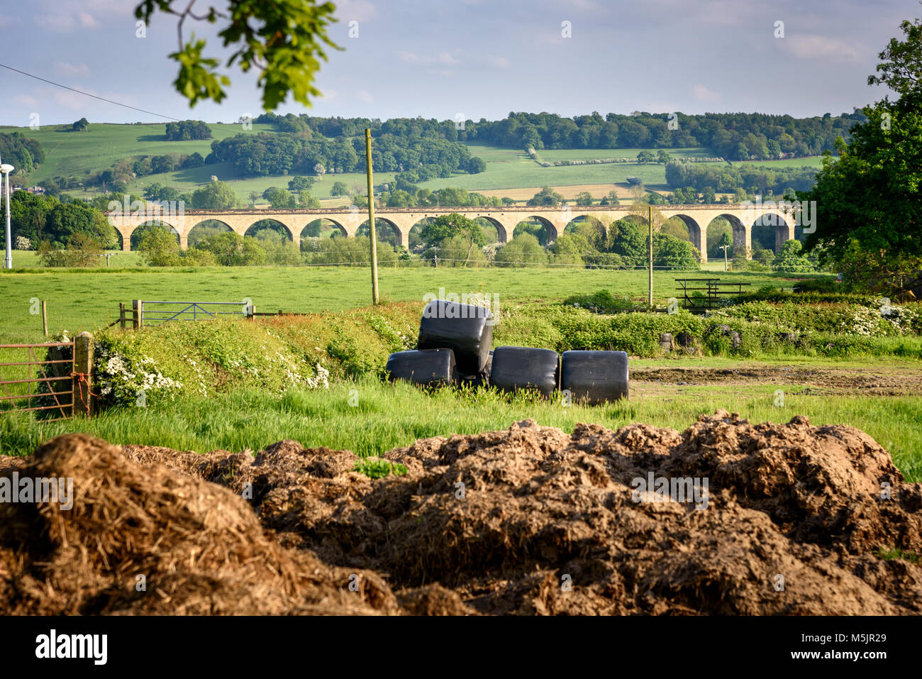 The Ribblehead Viaduct or Batty Moss Viaduct carries the Settle ...