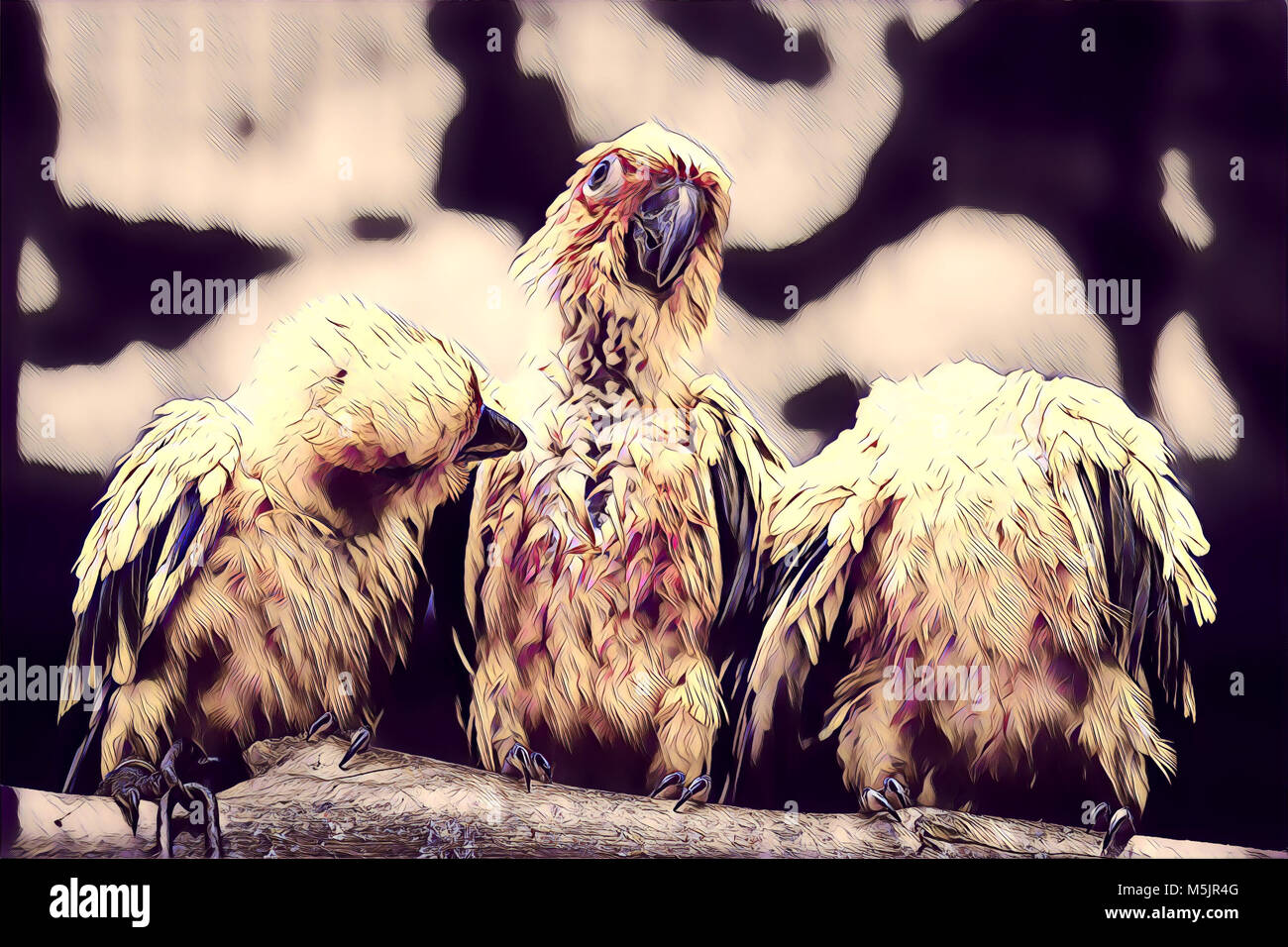 Three parrots sitting on a branch stylized drawing Stock Photo - Alamy