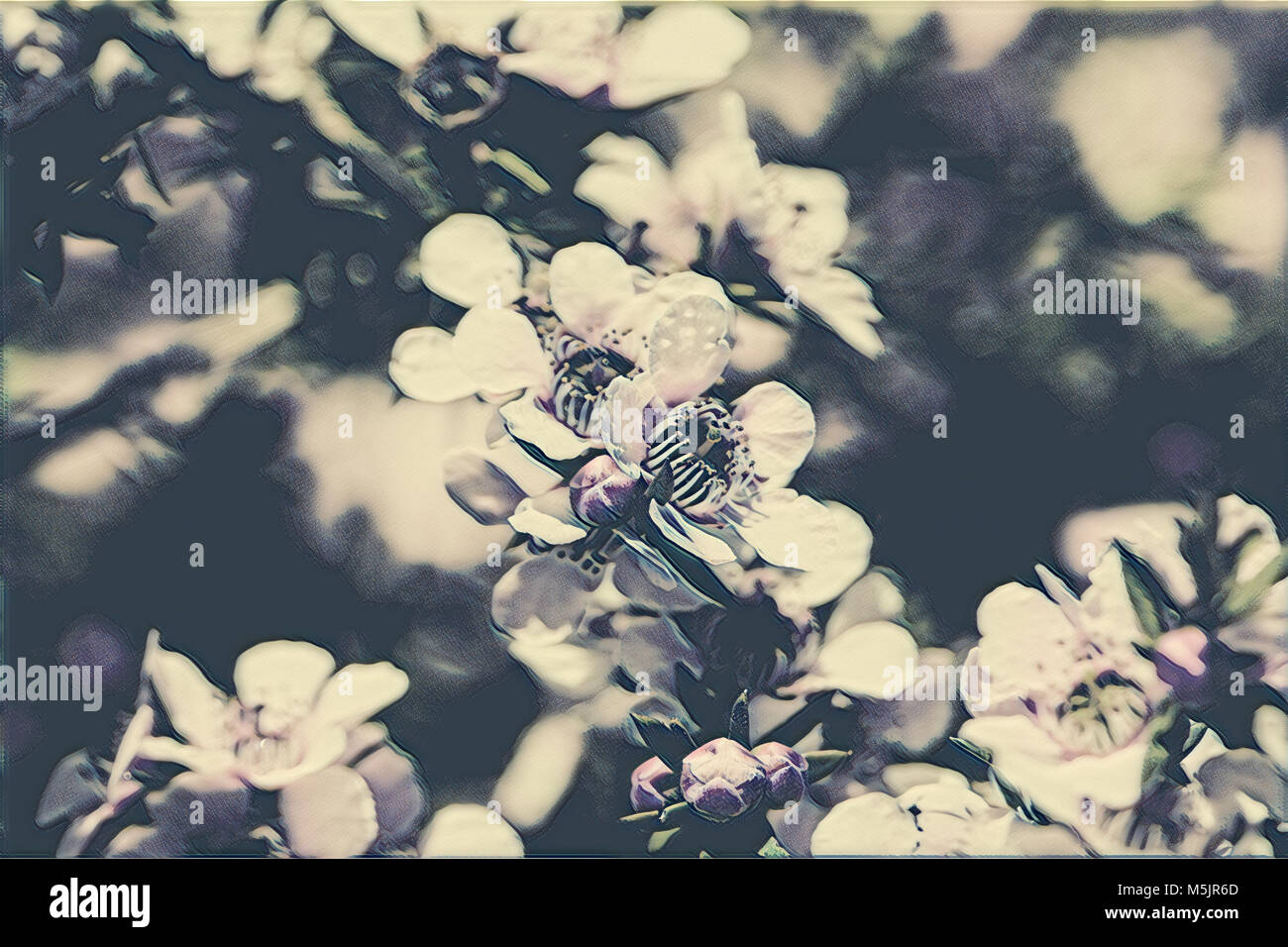 Illustration of beautiful small flowers Stock Photo - Alamy