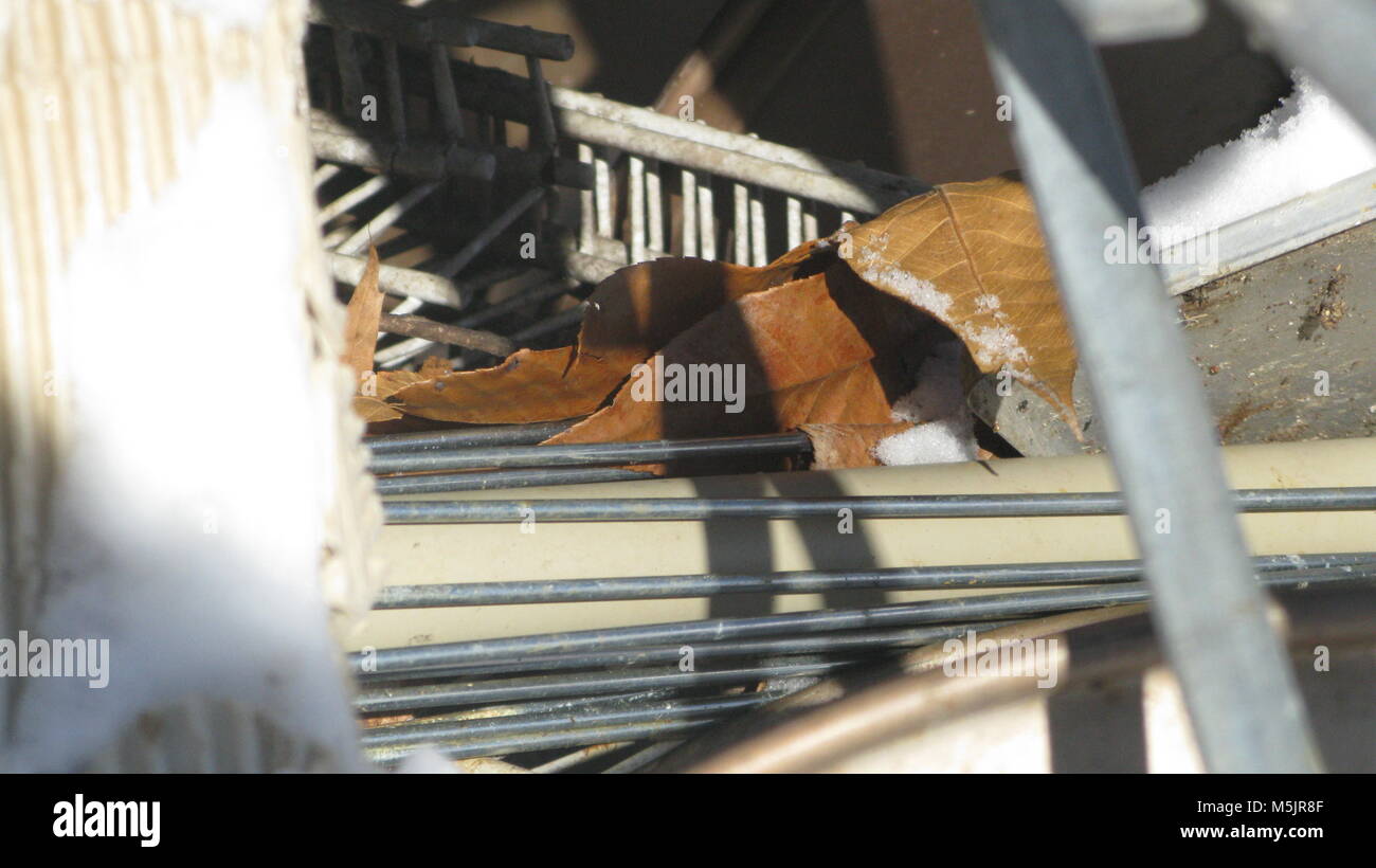 Lost its purpose hi-res stock photography and images - Alamy