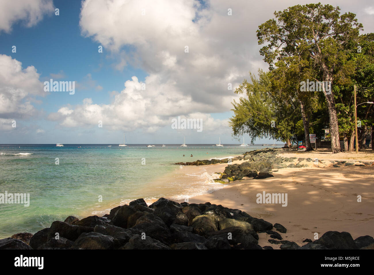 Sandy Beach, Barbados, Caribbean Stock Photo - Alamy