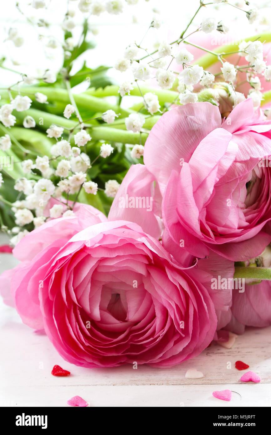 Pink Roses / Valentines day background, selective focus Stock Photo - Alamy