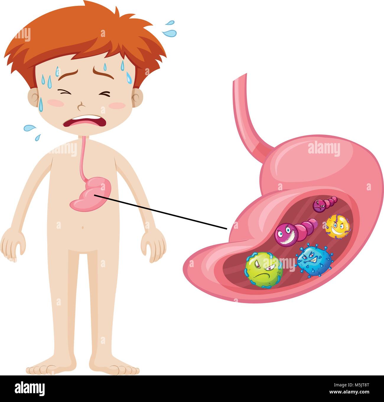 Stomach bacteria Stock Vector Images - Alamy