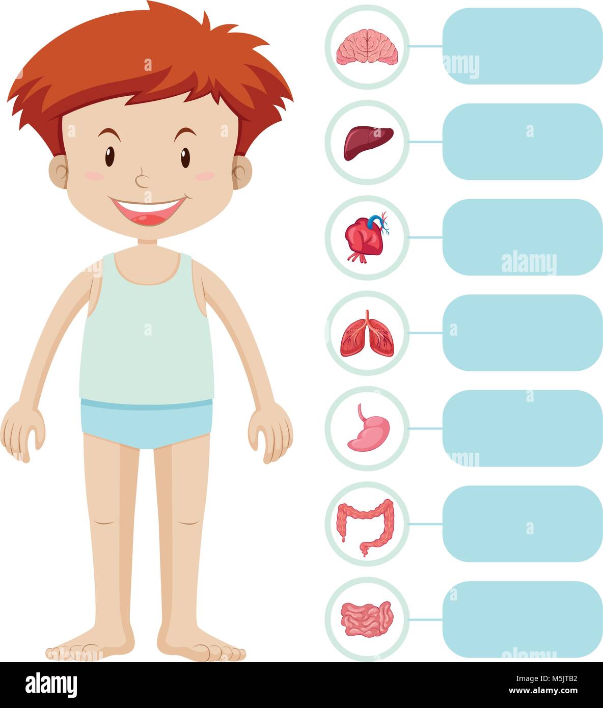 Human boy and different organs illustration Stock Vector Image & Art ...